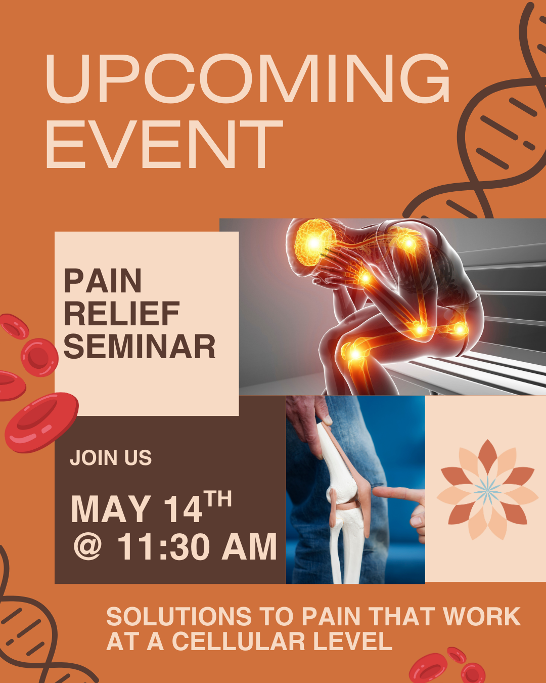 Regenerative Wellness Joint Pain Relief - Elemental Natural Medicine